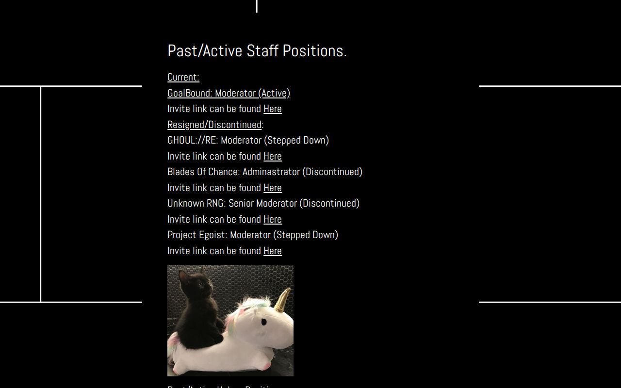 Mikty's past and active staff/helper positions.